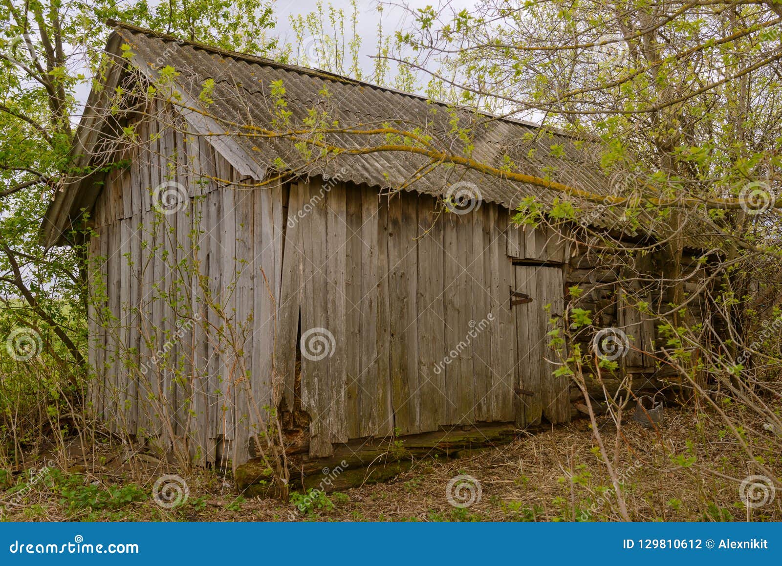 Old Wooden Broken Hut Stock Images - Download 1,183 Royalty Free Photos