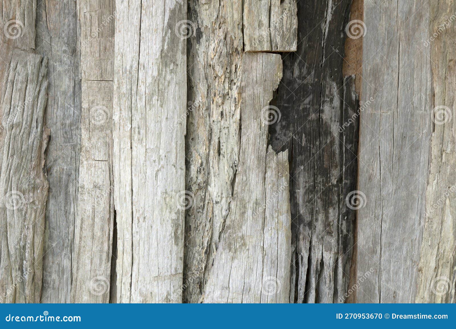 Old Wooden Background that Forms a Wall or Floor Stock Photo - Image of ...