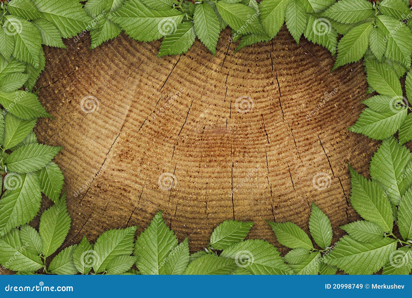 Brown Green Rugged Background Stock Illustrations – 135 Brown Green ...