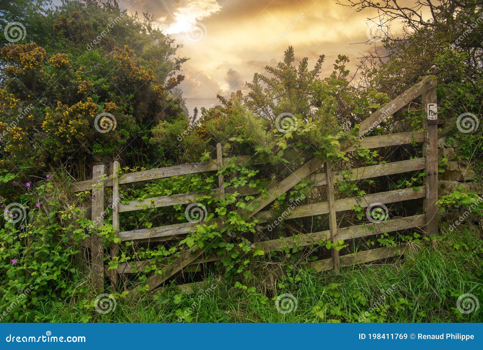 Old Wooden Barrier in the Countryside Stock Image - Image of protection ...