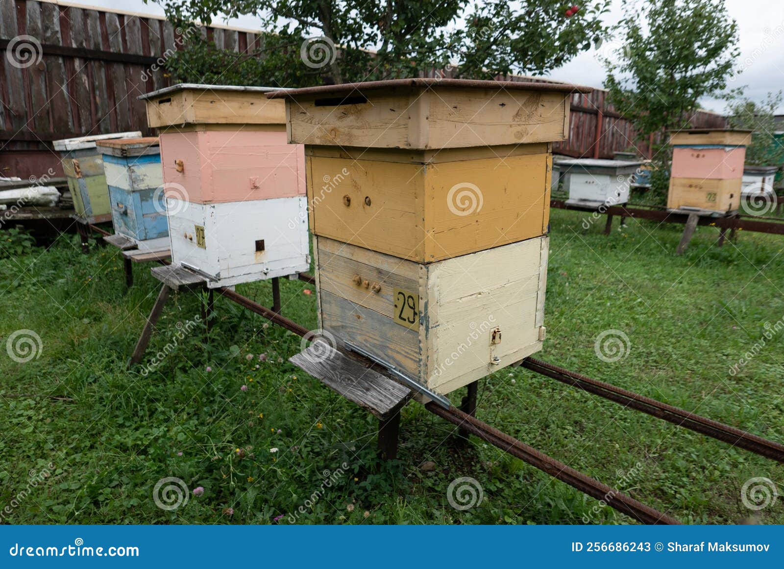 Old Wooden Beehive on a Bee Farm Stock Image - Image of apiculture ...