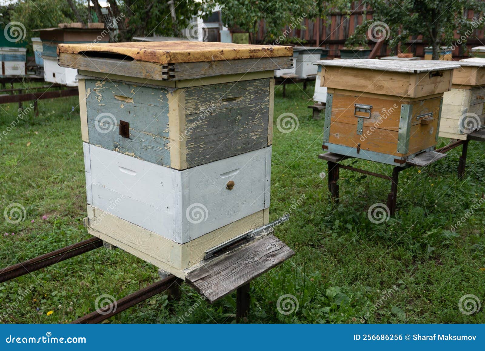 Old Wooden Beehive on a Bee Farm Stock Photo - Image of hive ...