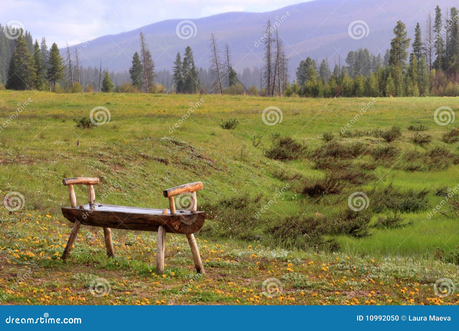 Old Wooden Bench in Early Spring Stock Photo - Image of outdoor ...