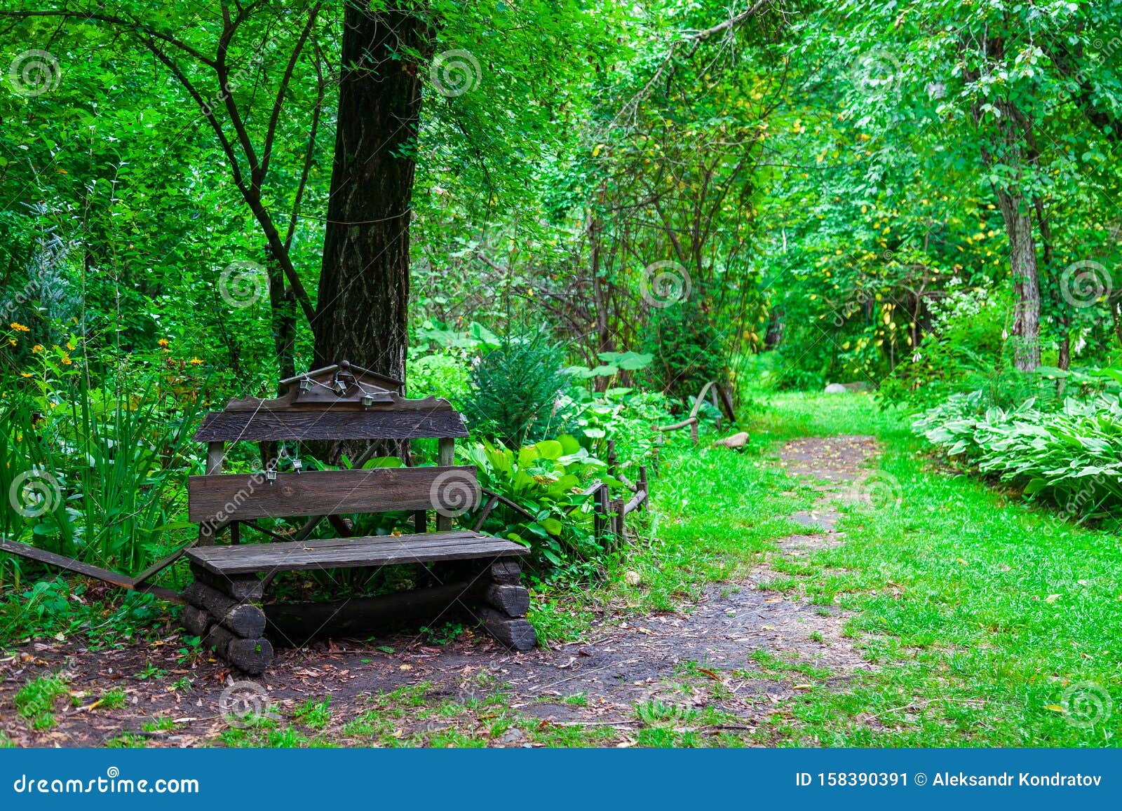 An Old Wooden Bench In The Park Among Green Trees And Grass In The Forest Along Which There Is A