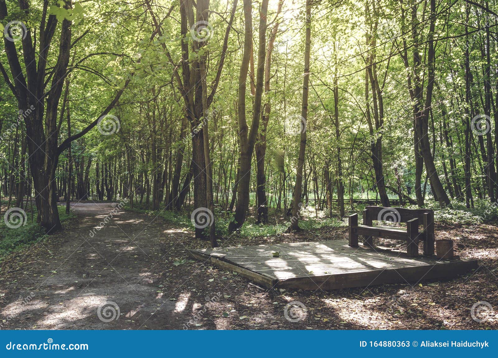 Old Wooden Bench in the Park among Green Trees. Park for Walks Stock ...
