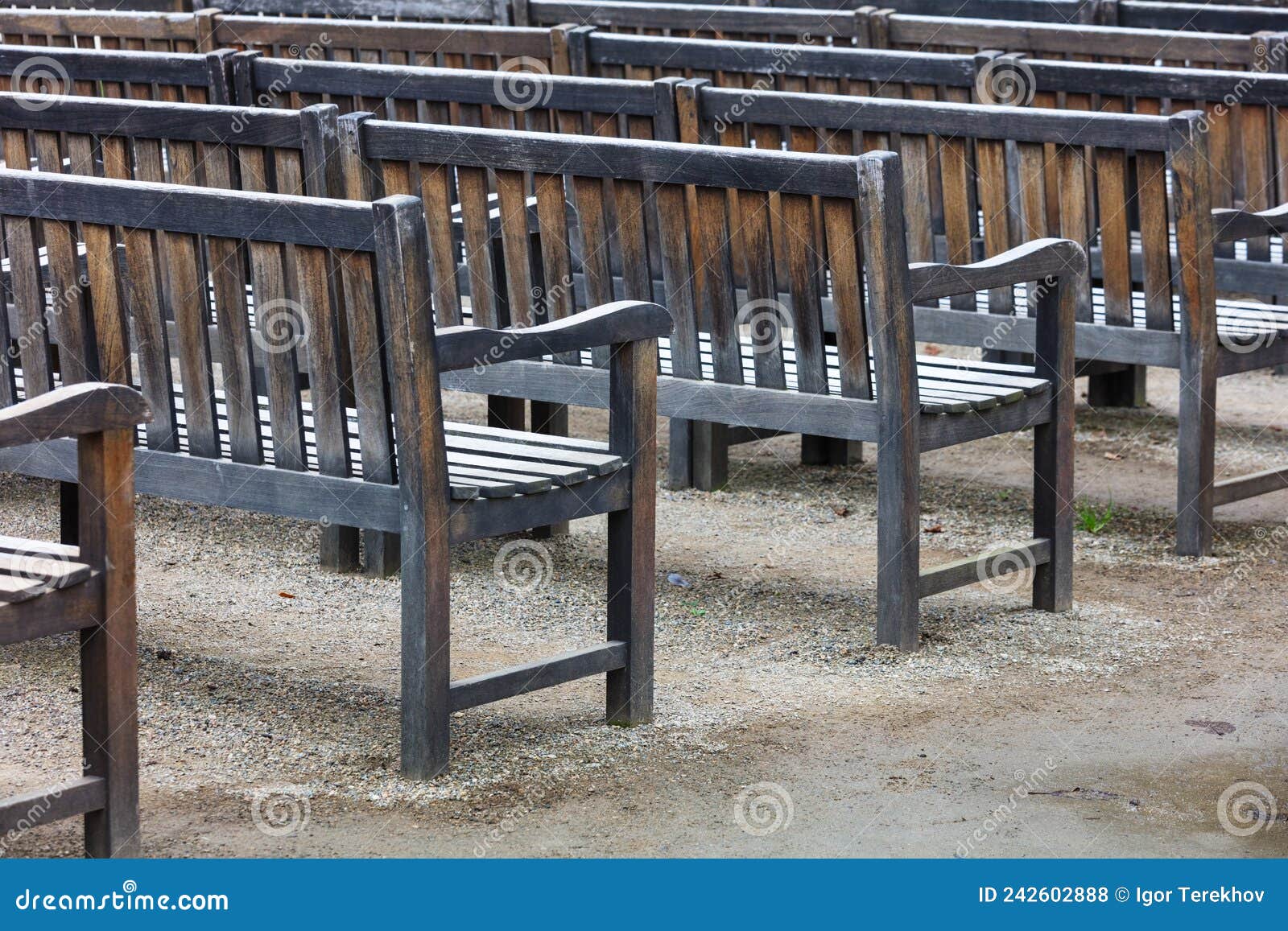Old wooden benches in park stock photo. Image of beautiful - 242602888