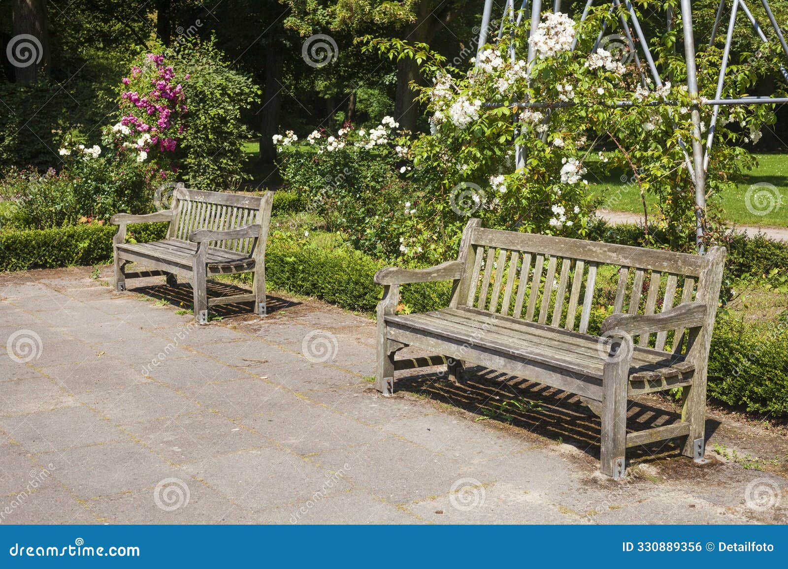 Old Wooden Benches in a Park Stock Photo - Image of wood, green: 330889356