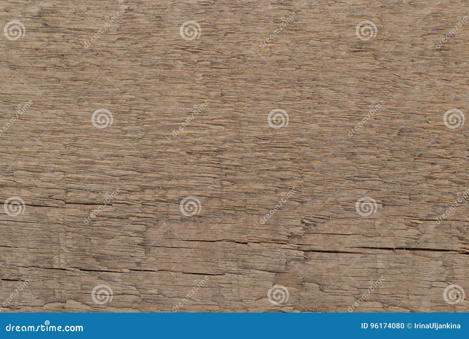 An Old Wooden Board. Texture. Stock Photo - Image of texture, light ...