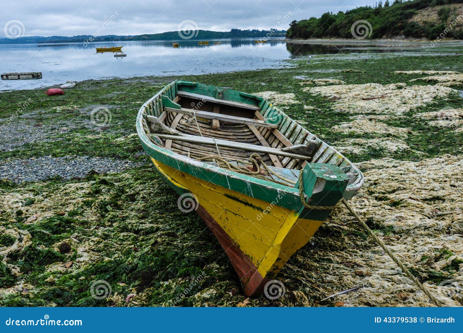 Old Wooden Boat, Chiloé Island, Chile Stock Photo - Image of grassland, incredible: 43379538