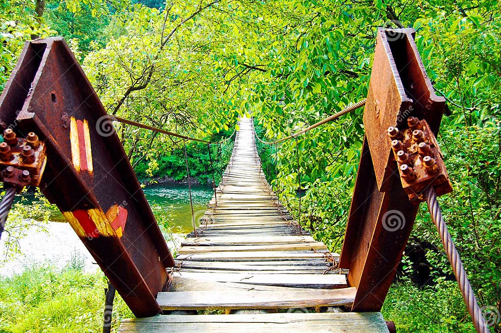 Old wooden bridge stock photo. Image of depth, cliff - 12934974