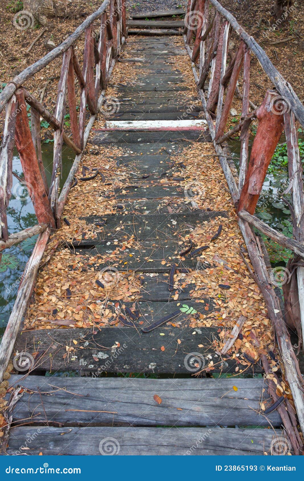 Old wooden bridge. stock image. Image of brown, forest - 23865193