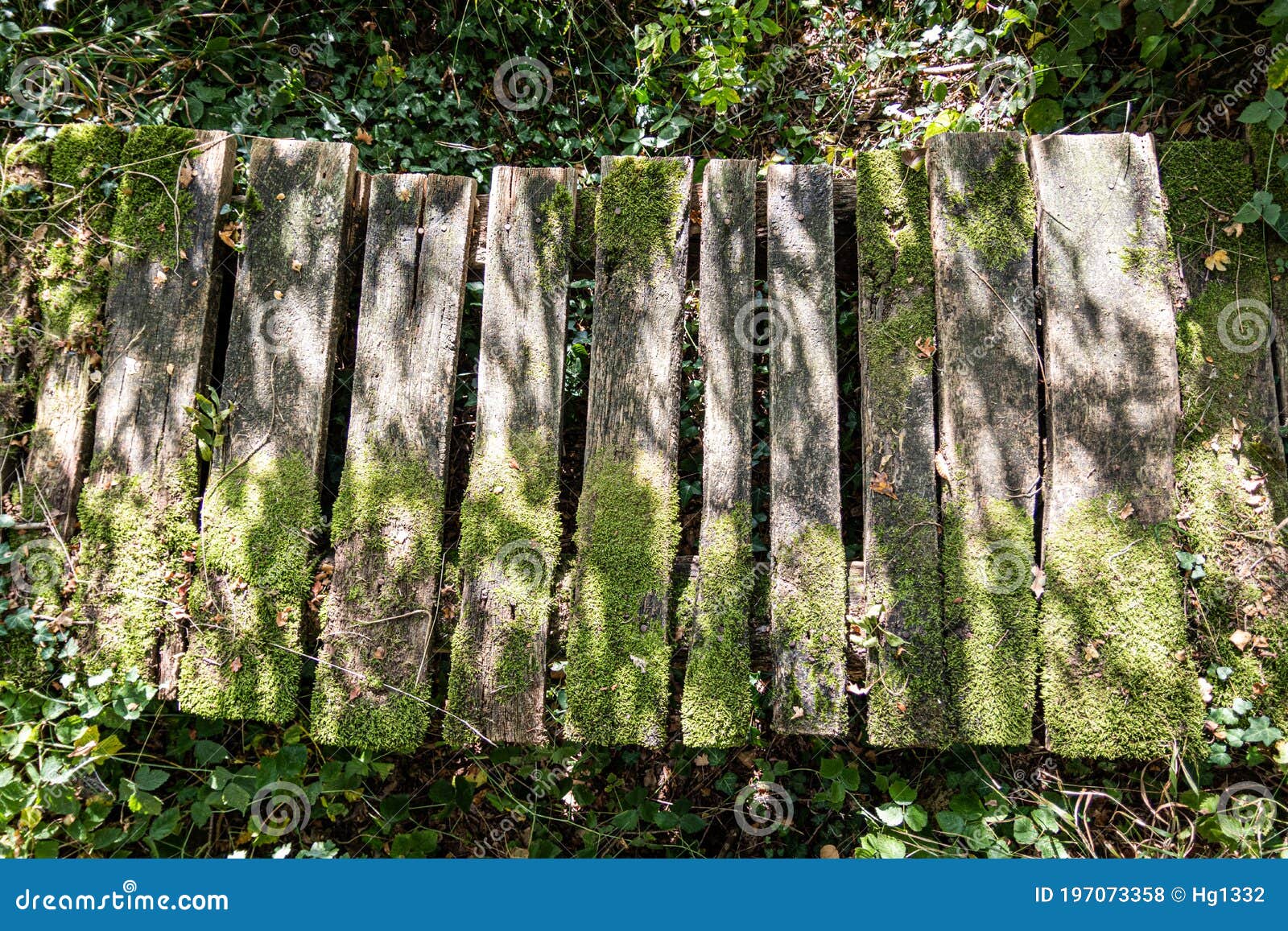 An Old Wooden Bridge from Above Stock Photo - Image of colours, pathway ...