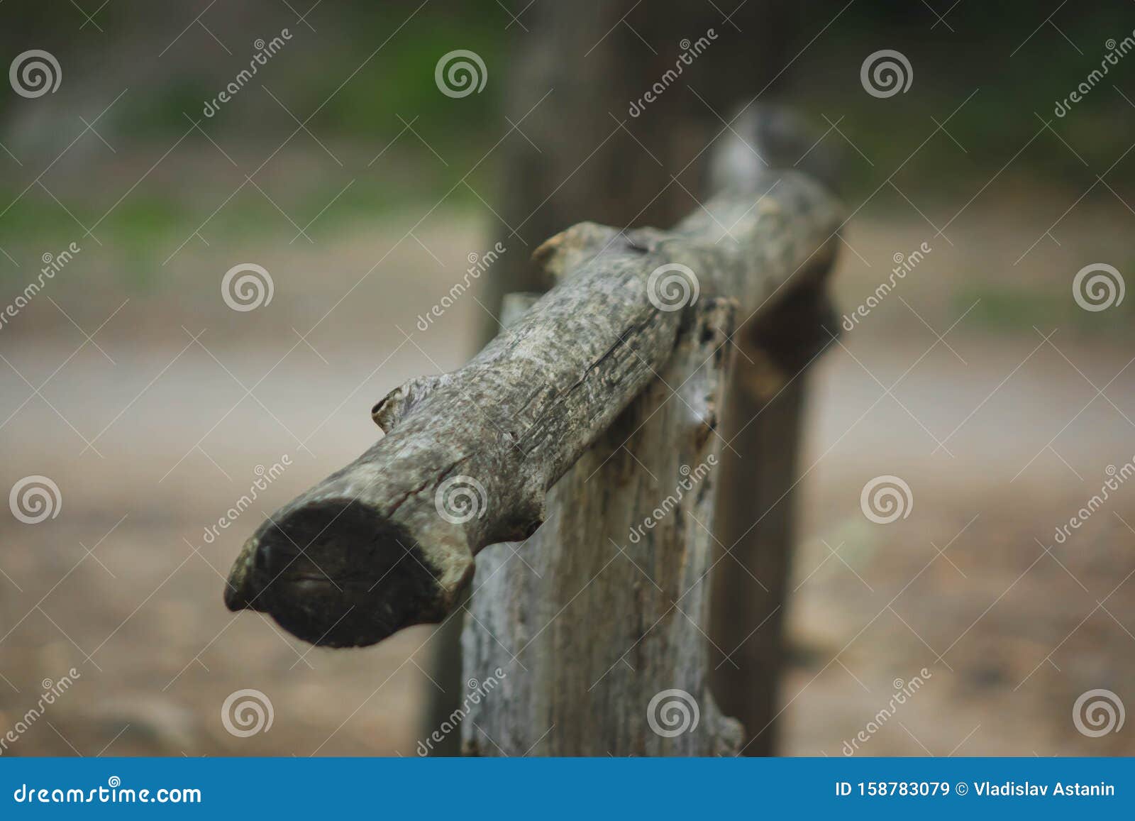 The Old Wooden Bridge Bridge Collapse Bridge Across the River Stock ...