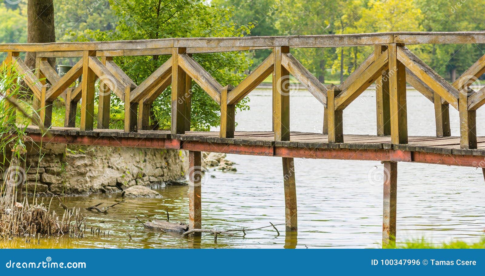 Old Wooden Bridge in Deep Forest Stock Photo - Image of beauty, pathway ...