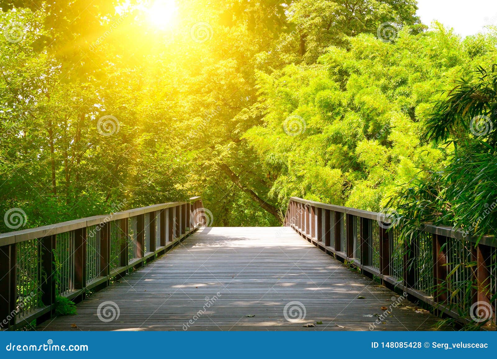 Old wooden bridge stock photo. Image of ancient, gardens - 148085428