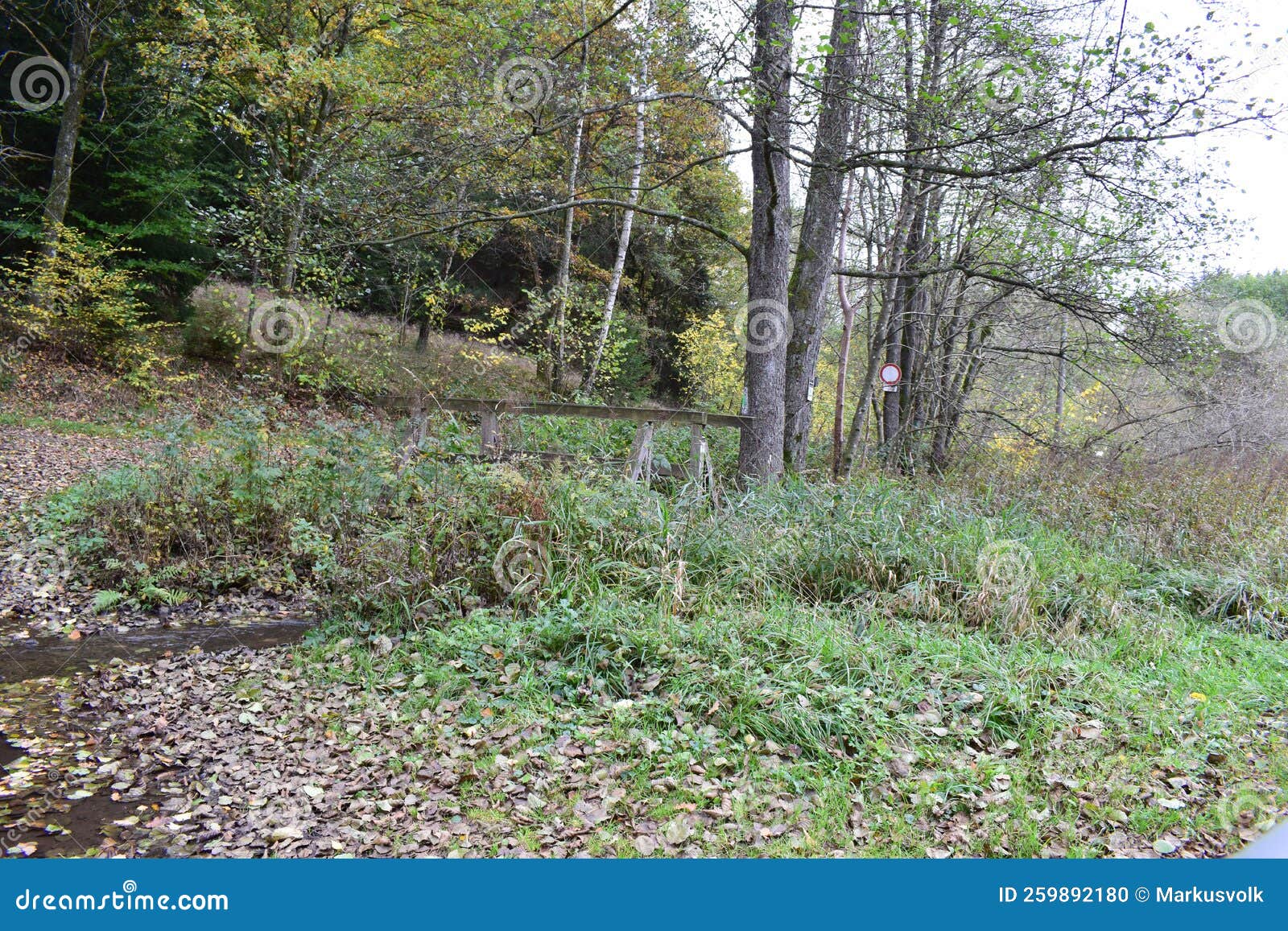 Old Wooden Bridge in the Forest at a Dirt Road Stock Photo - Image of ...
