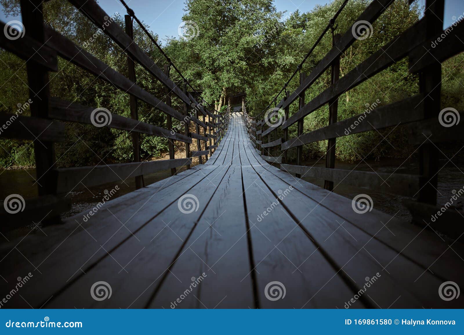 Old Wooden Bridge Leading into Green Trees Stock Photo - Image of ...