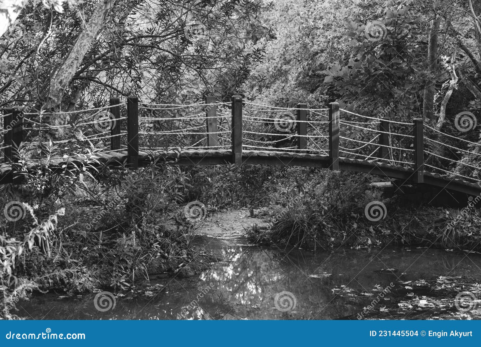 Wooden Bridge in the Nature Park Stock Photo - Image of fall, nature ...