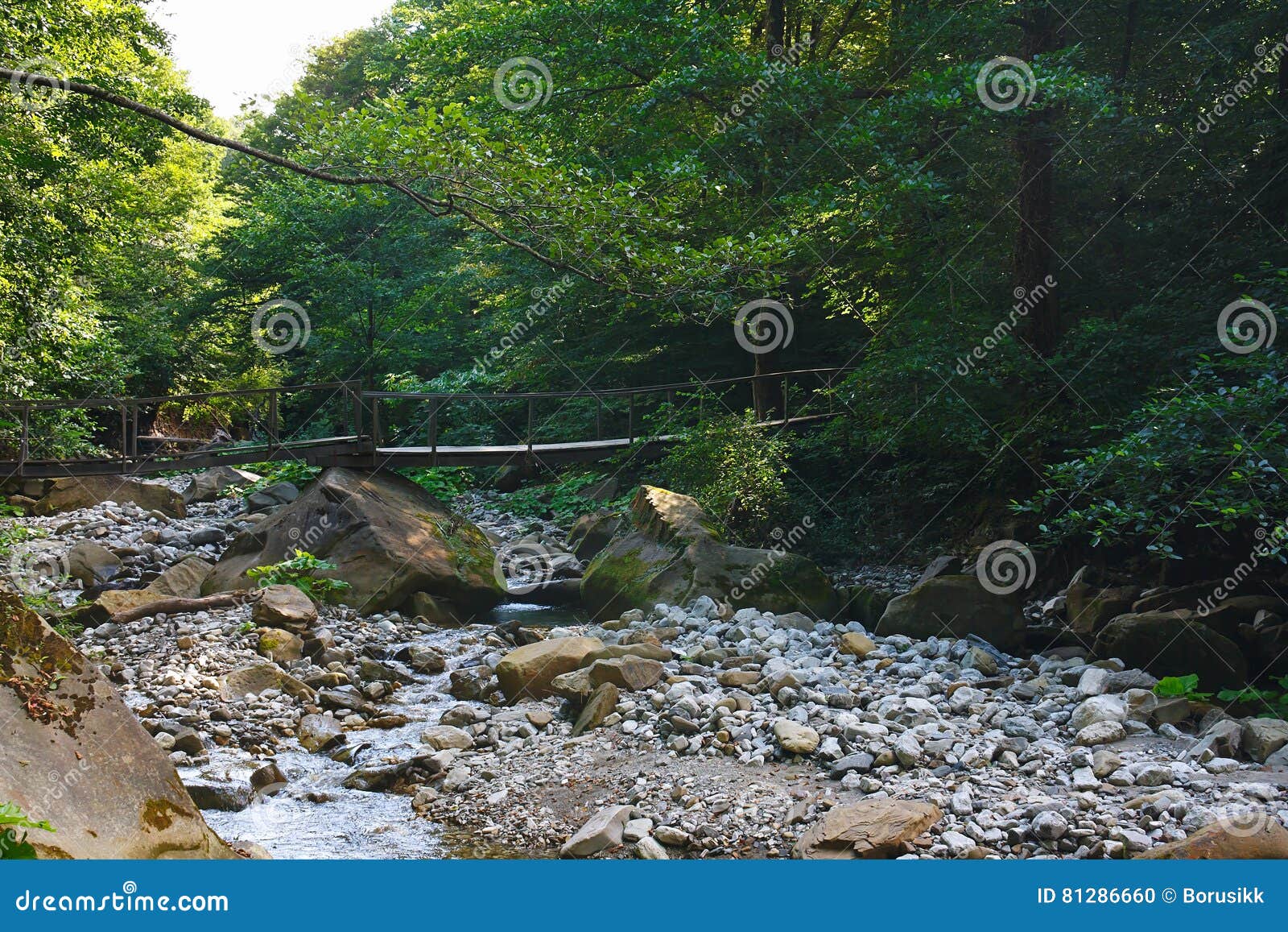 Old Wooden Bridge Over a Mountain Stream in Forest Stock Photo - Image ...