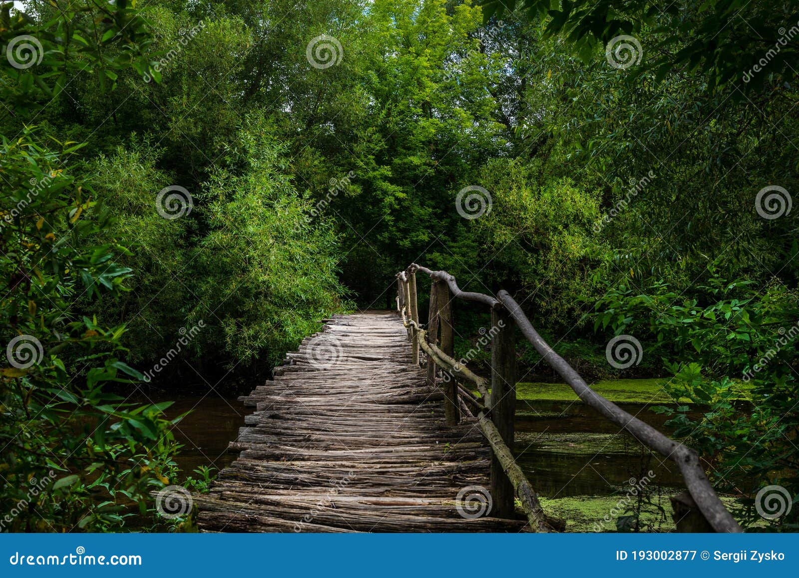 Old Wooden Bridge Over the River in the Forest Stock Image - Image of ...