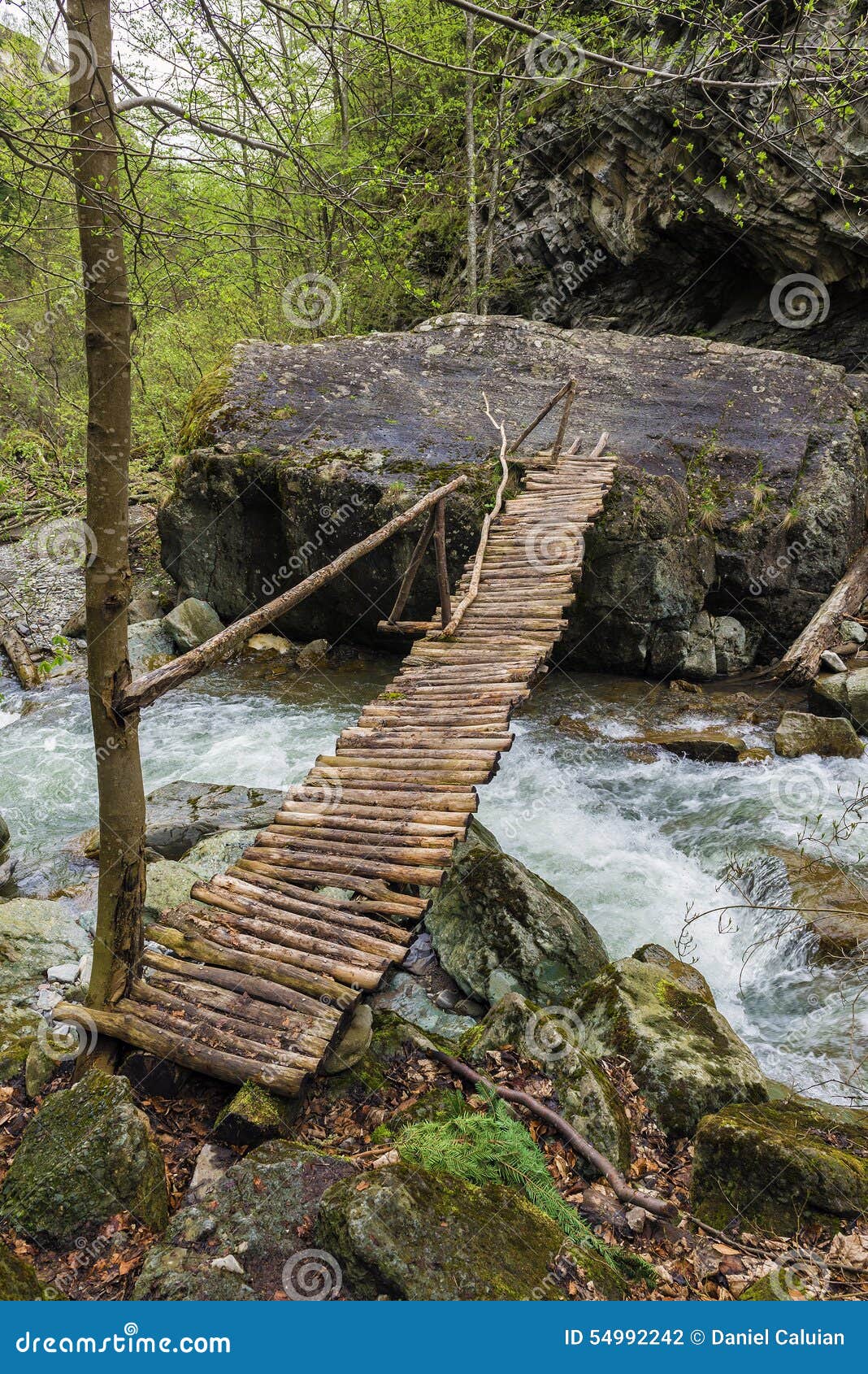 Old Wooden Bridge Over a River in the Forest . Stock Photo - Image of ...