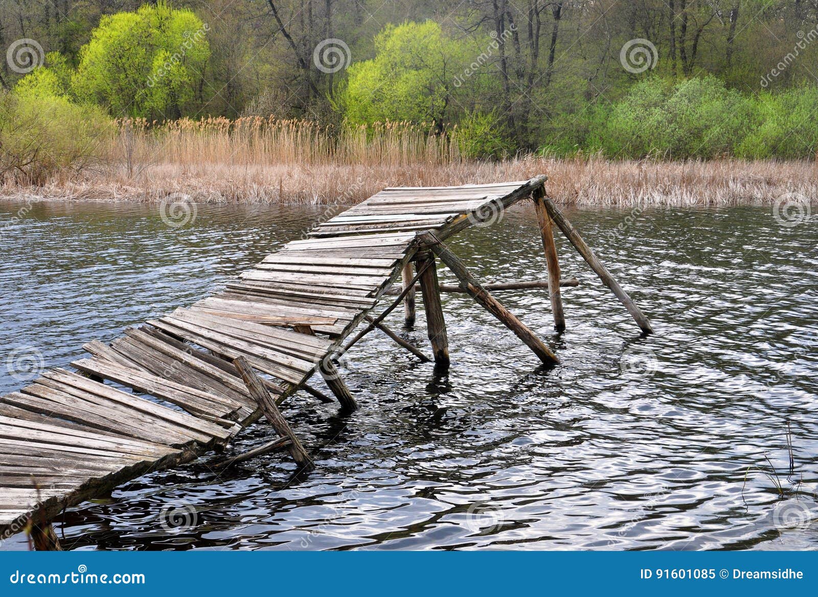 Old Wooden Bridge Over the River in the Forest Stock Image - Image of ...