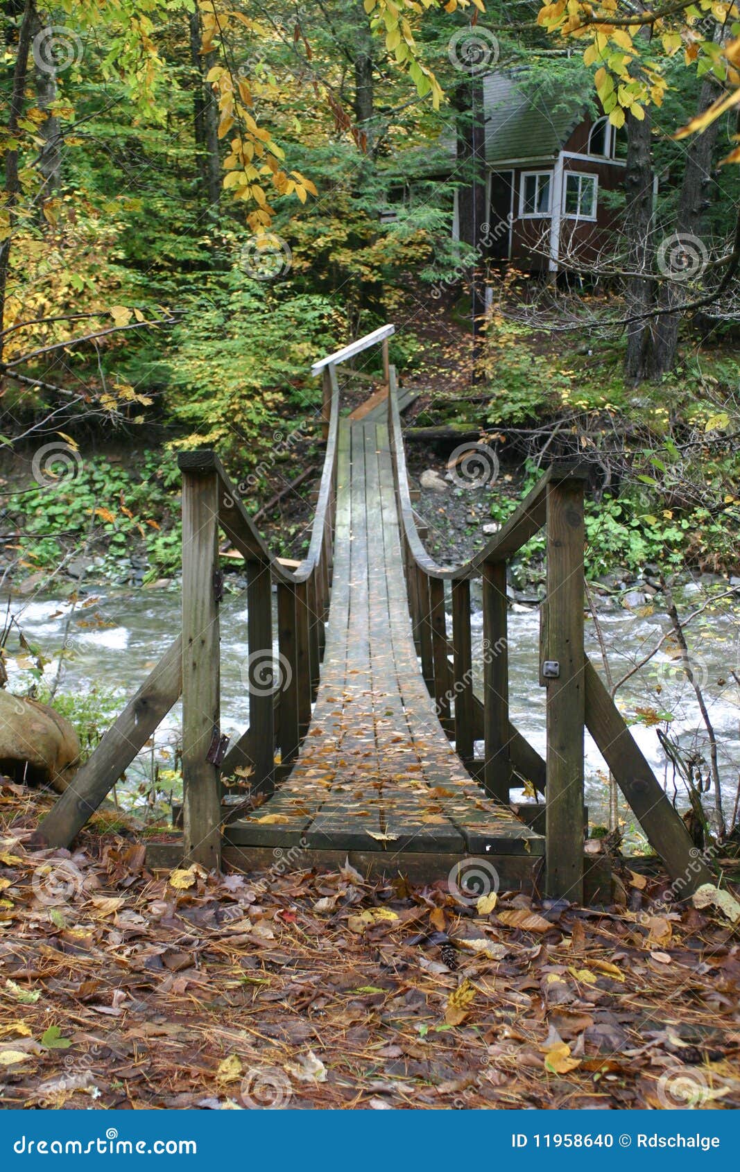 Old Wooden Bridge Over Stream Stock Photo - Image of season, stream ...