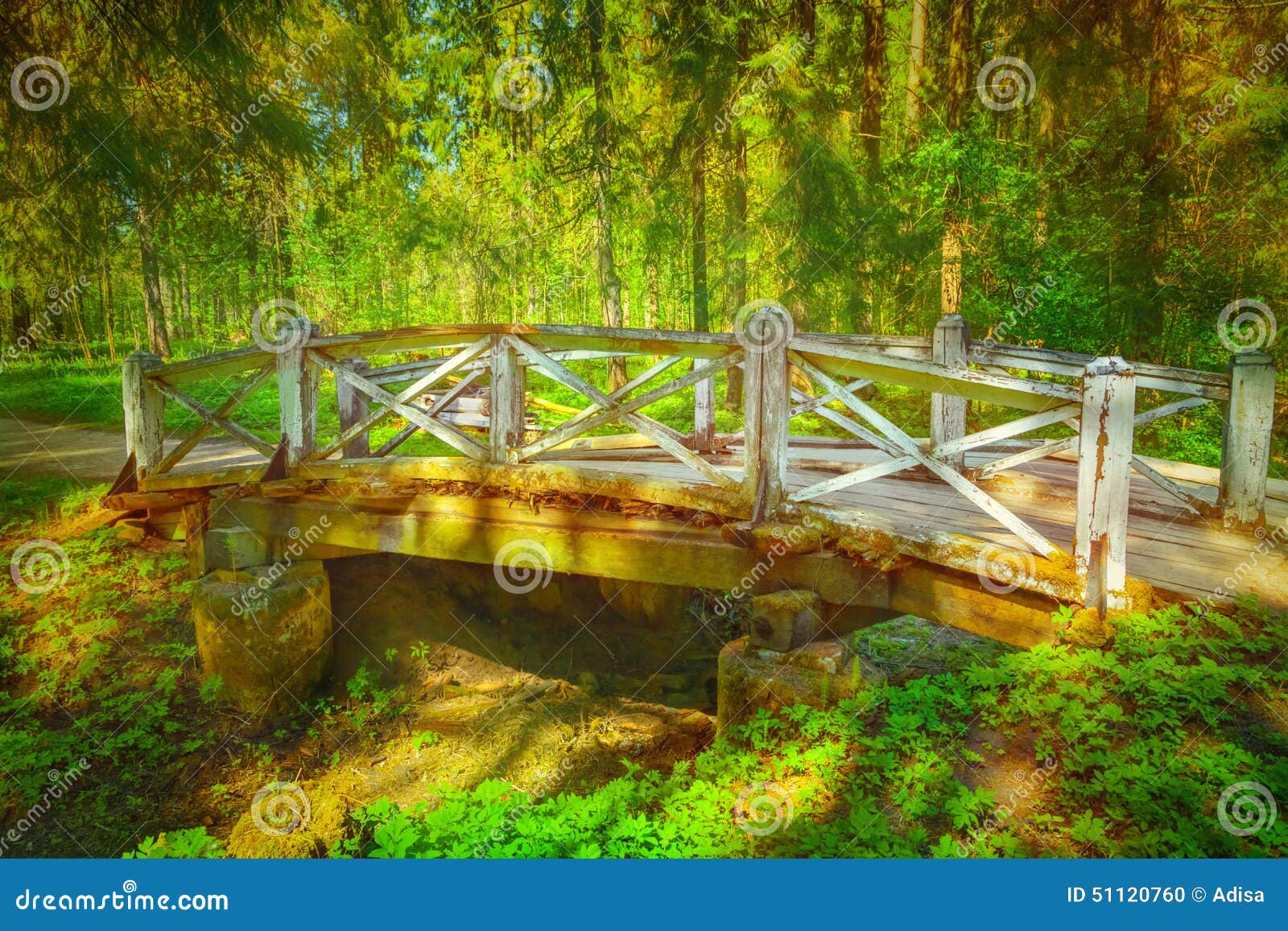Wooden Bridge Footbridge Walkway Pathway Along Flower Field Royalty ...
