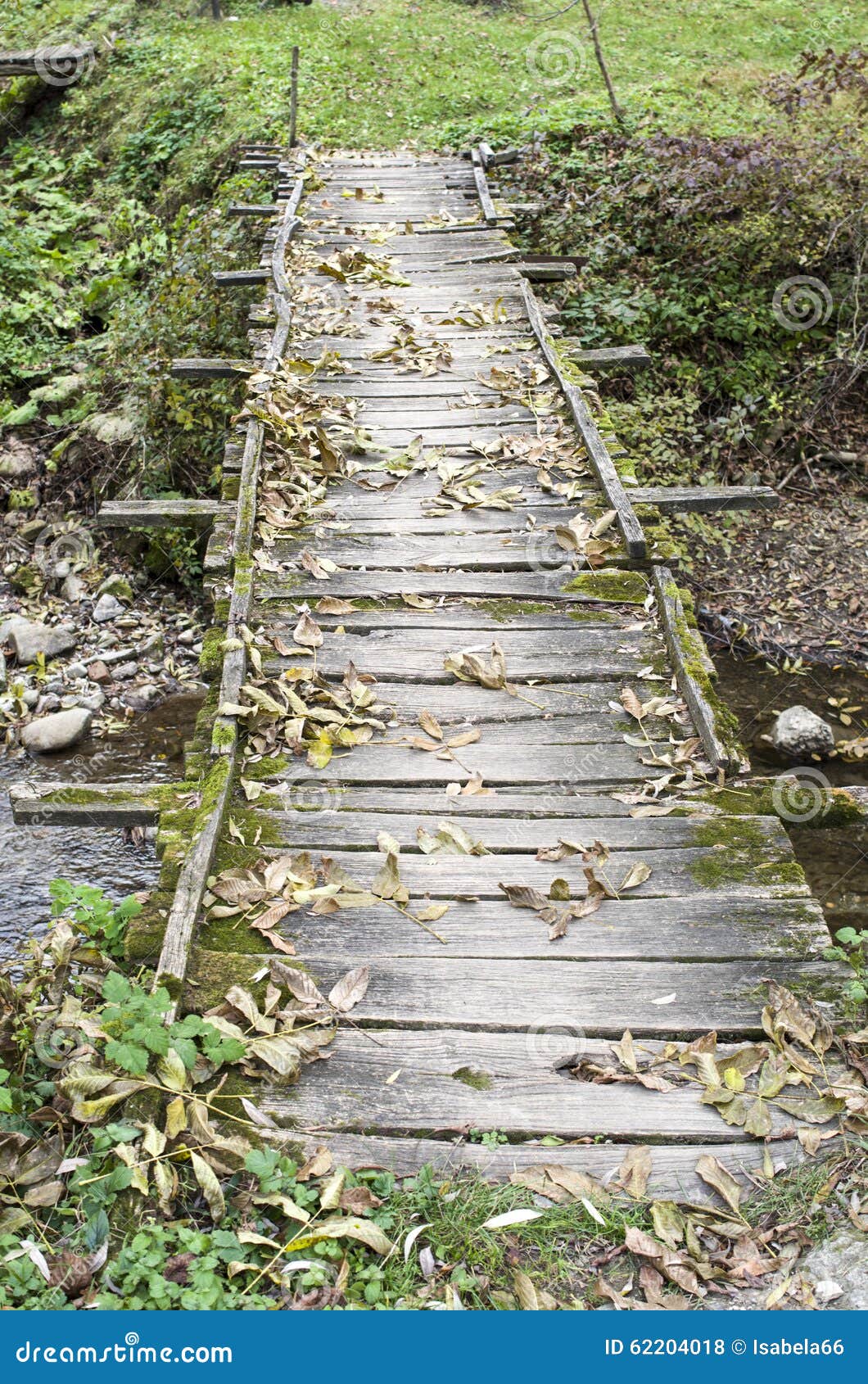 Old Wooden Bridge without Railings Stock Photo - Image of footpath ...