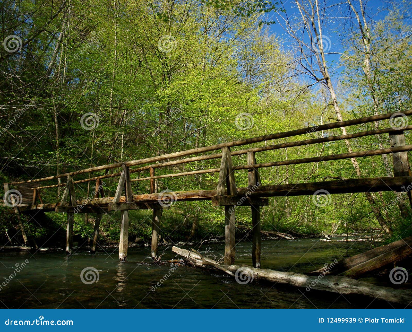 Old Wooden Bridge in the Woods Stock Image - Image of cross, scenic ...