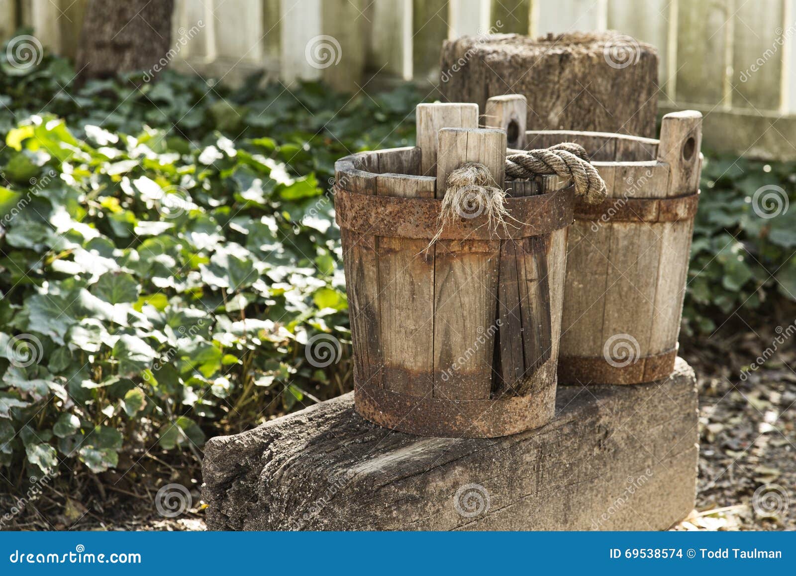 Old Wooden Buckets stock photo. Image of buckets, plant - 69538574