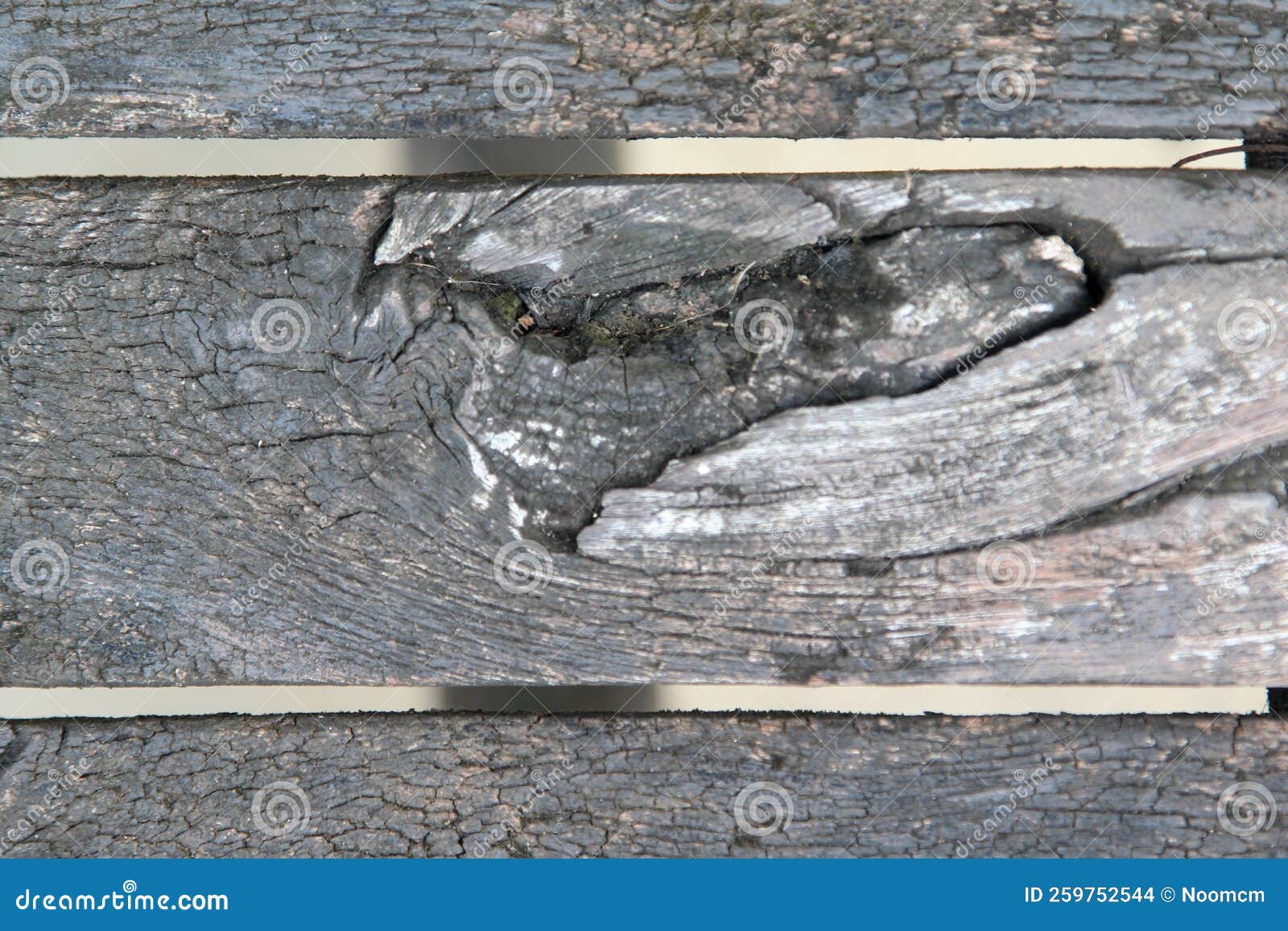 Wooden with Burn Marks Background Stock Photo - Image of bark, detail ...