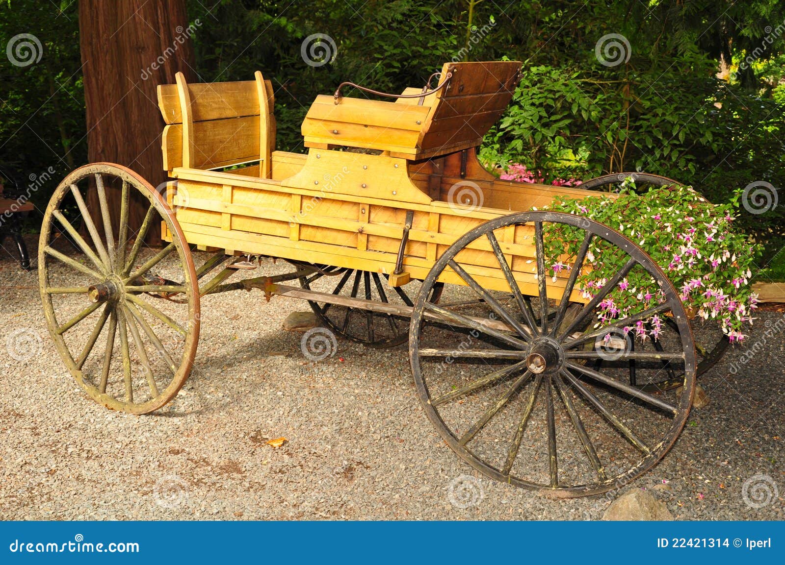 Old wooden carriage stock photo. Image of transport, wagon - 22421314