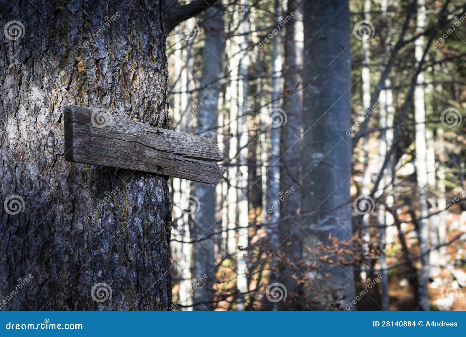 Old Wooden Direction Sign on Tree Stock Photo - Image of signboard ...