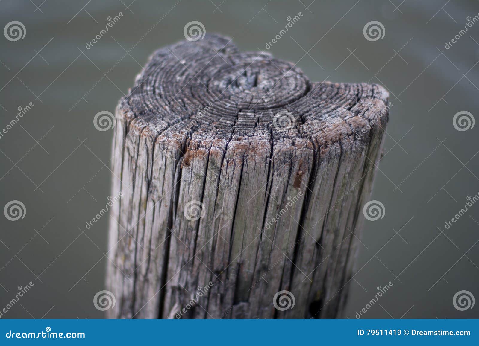 Pylon Pier Stock Photo | CartoonDealer.com #56996604