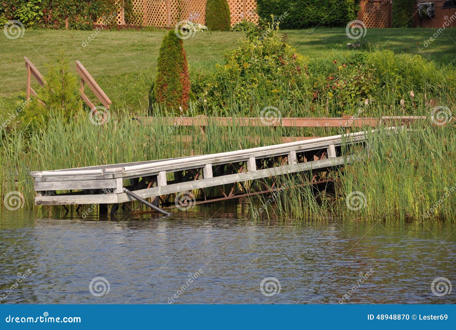 Old wooden dock stock photo. Image of diving, grass, construction ...