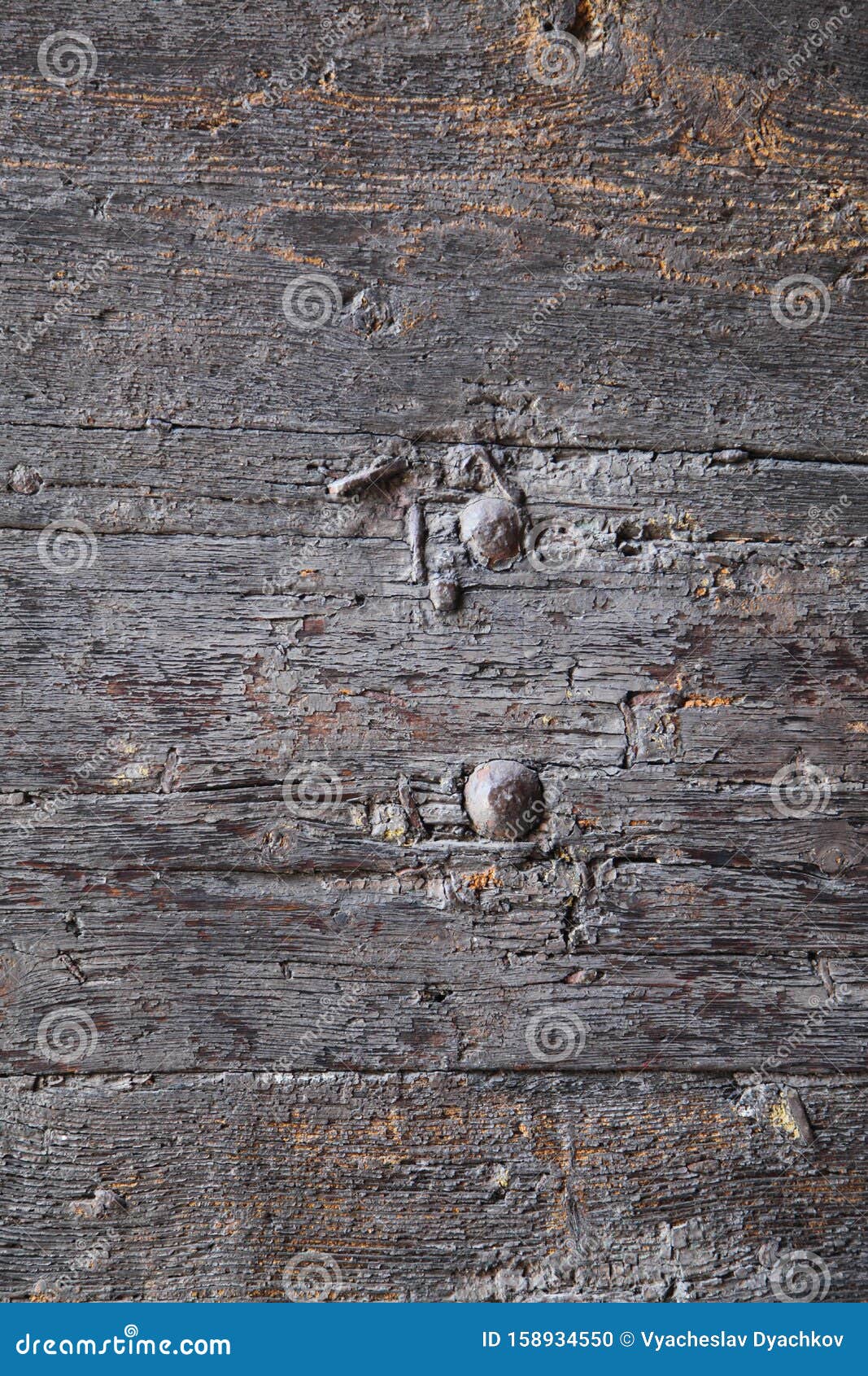 Background, Texture. Fragment of an Old Wooden Door with Large Caps of ... Background, Texture. Fragment of an Old Wooden Door with Large Caps of ...
