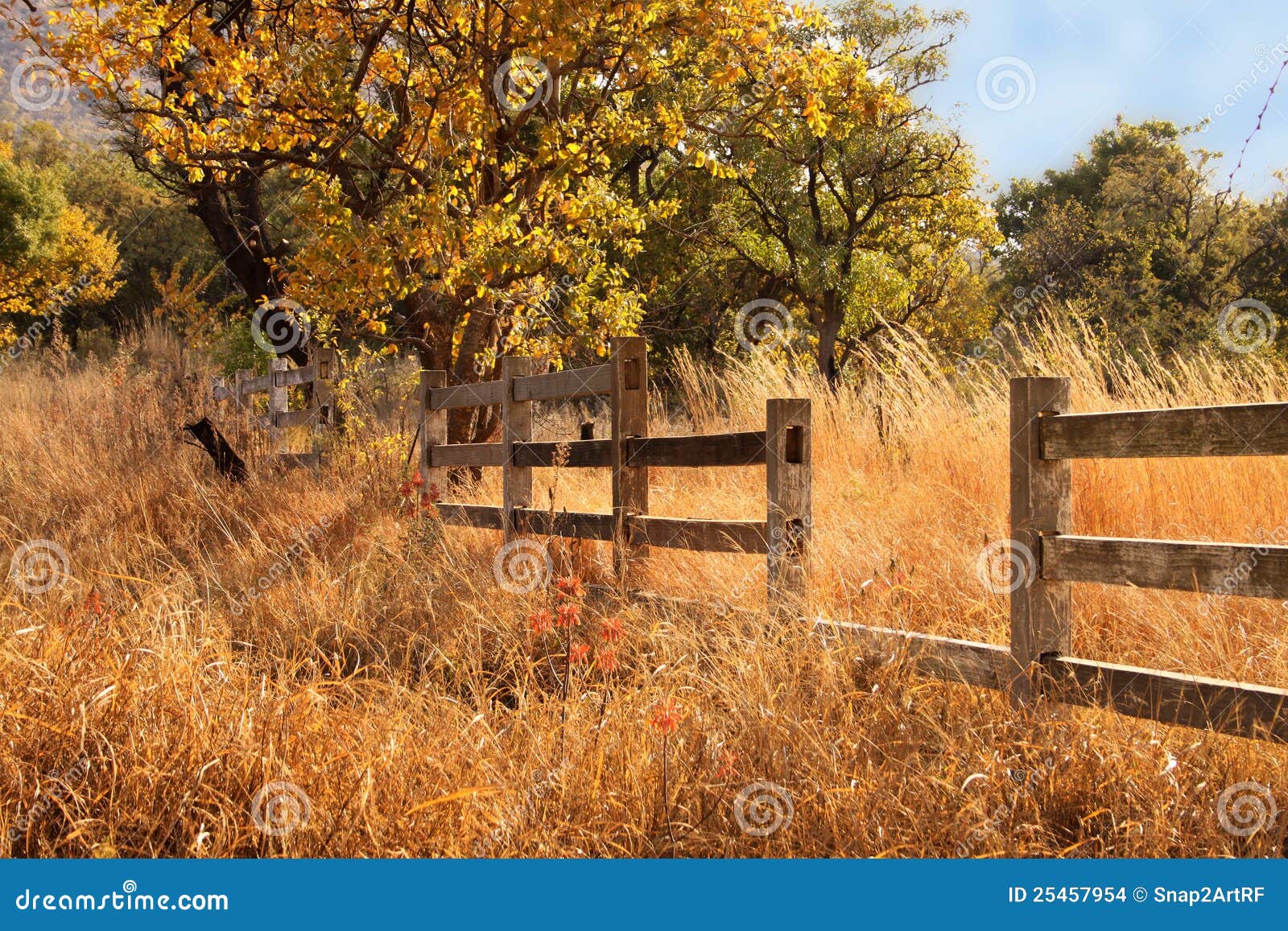 Old Wooden Farm Fence stock photo. Image of shadows, yellow - 25457954