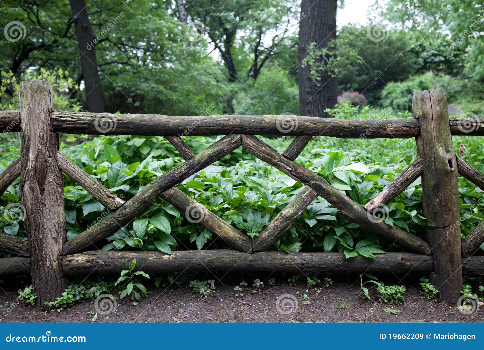 Old wooden fence stock image. Image of relax, blooms - 19662209