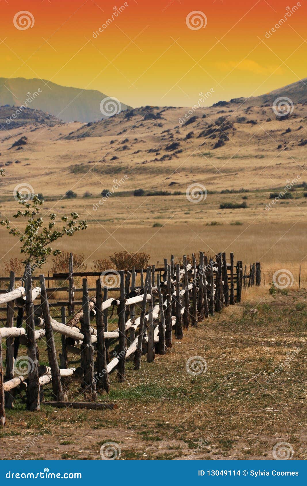 Old Wooden Fence at a Ranch Stock Photo - Image of brown, country: 13049114
