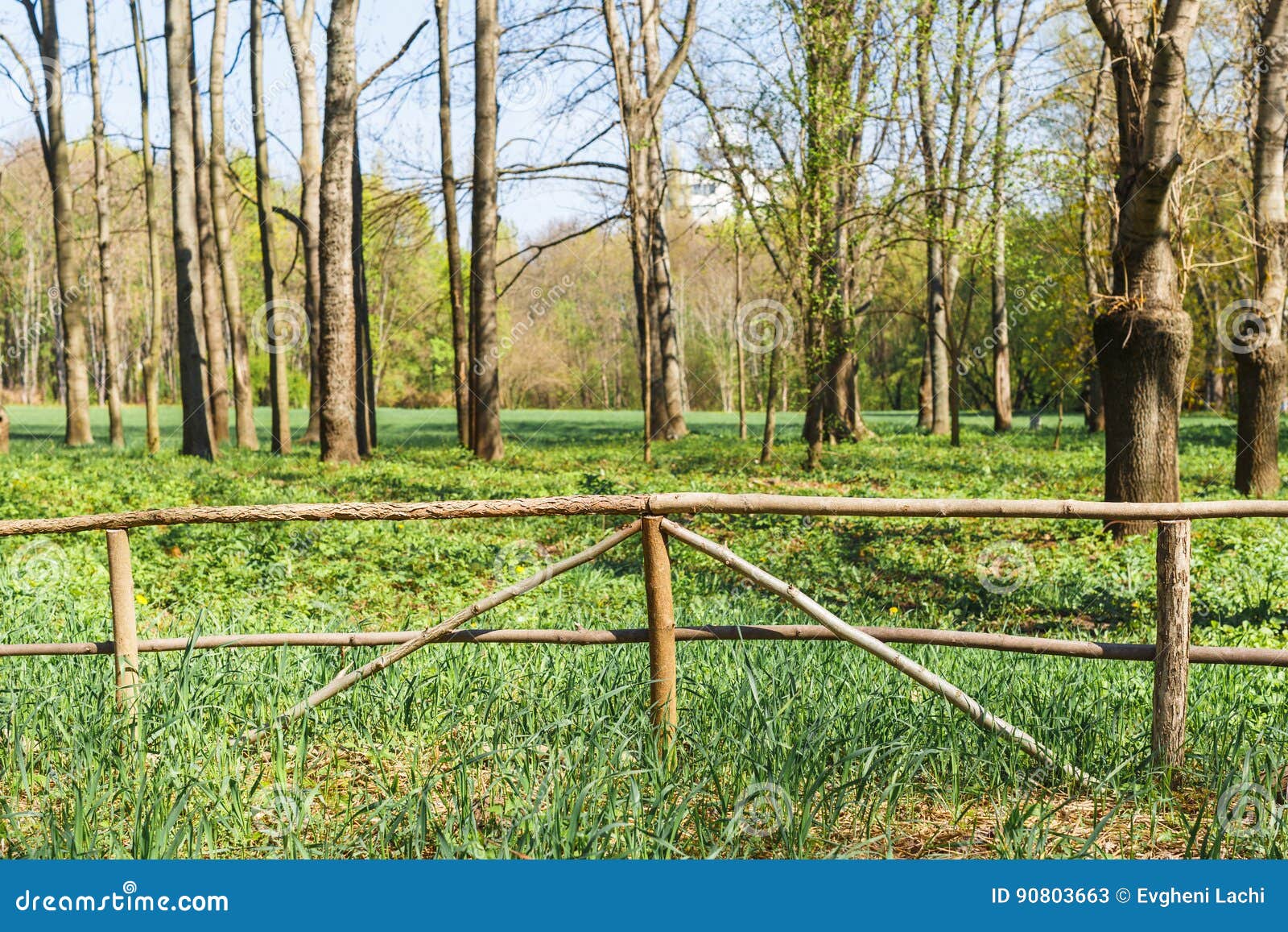 Old Wooden fence at ranch stock image. Image of green - 90803663