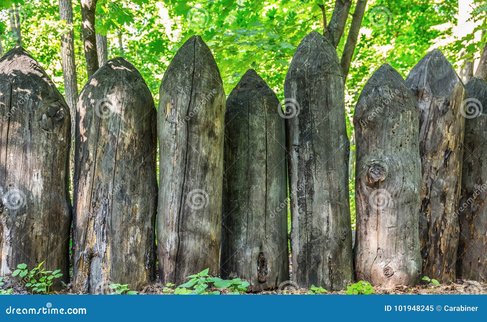 Old Fence of Sharpened Logs in the Forest Stock Image - Image of firm ...