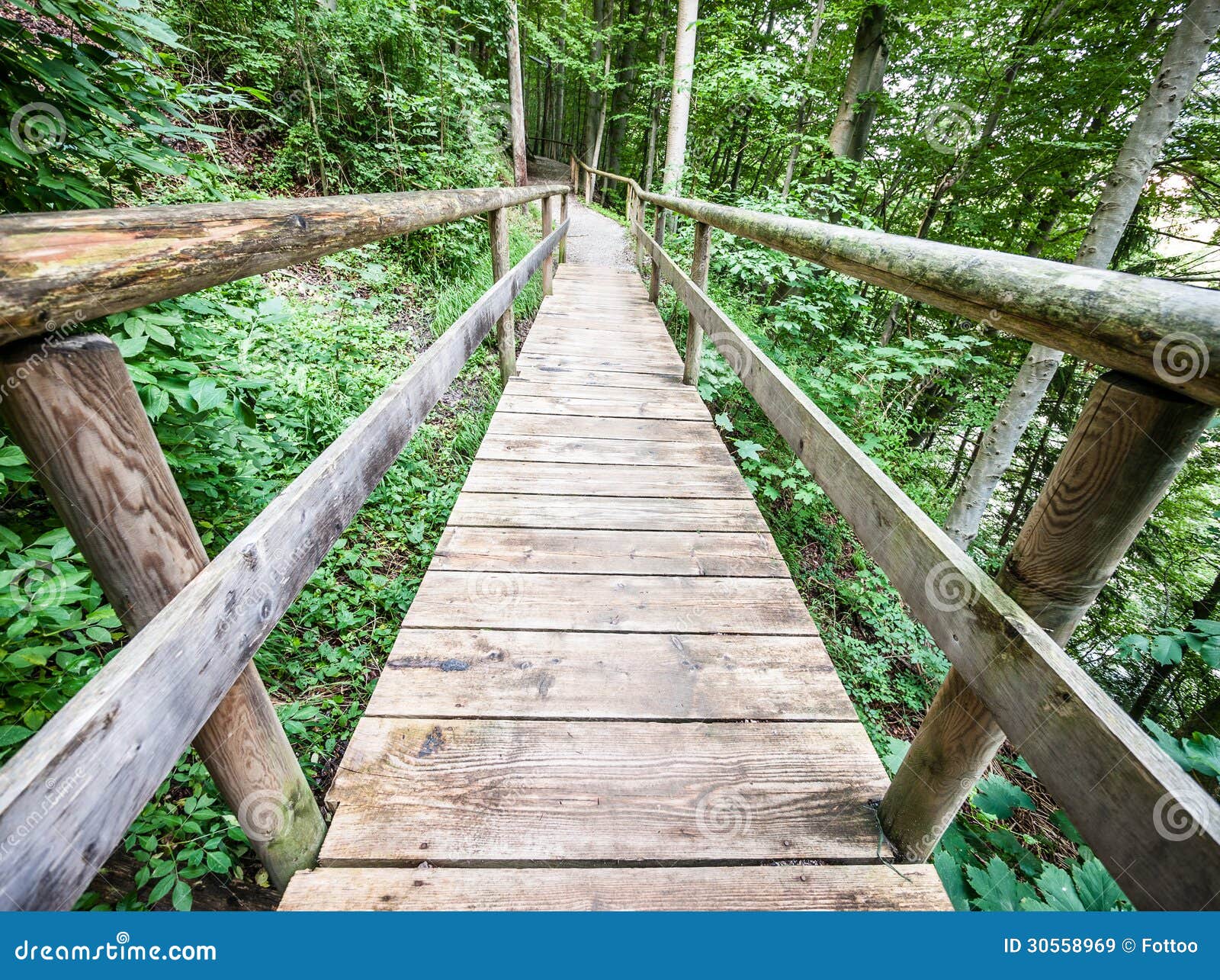 Old wooden footbridge stock image. Image of weathered - 30558969