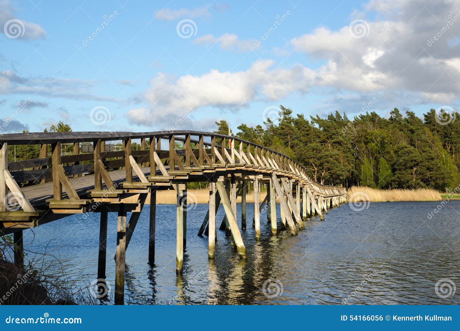 Old wooden footbridge stock photo. Image of pier, forest - 54166056