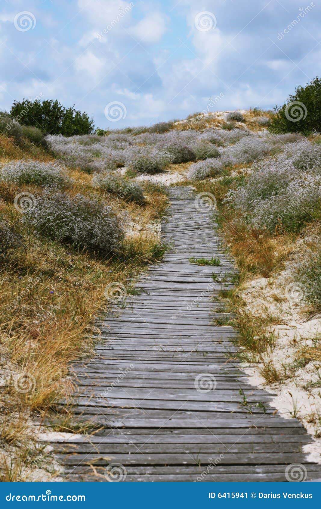Old wooden footpath stock image. Image of road, landscape - 6415941