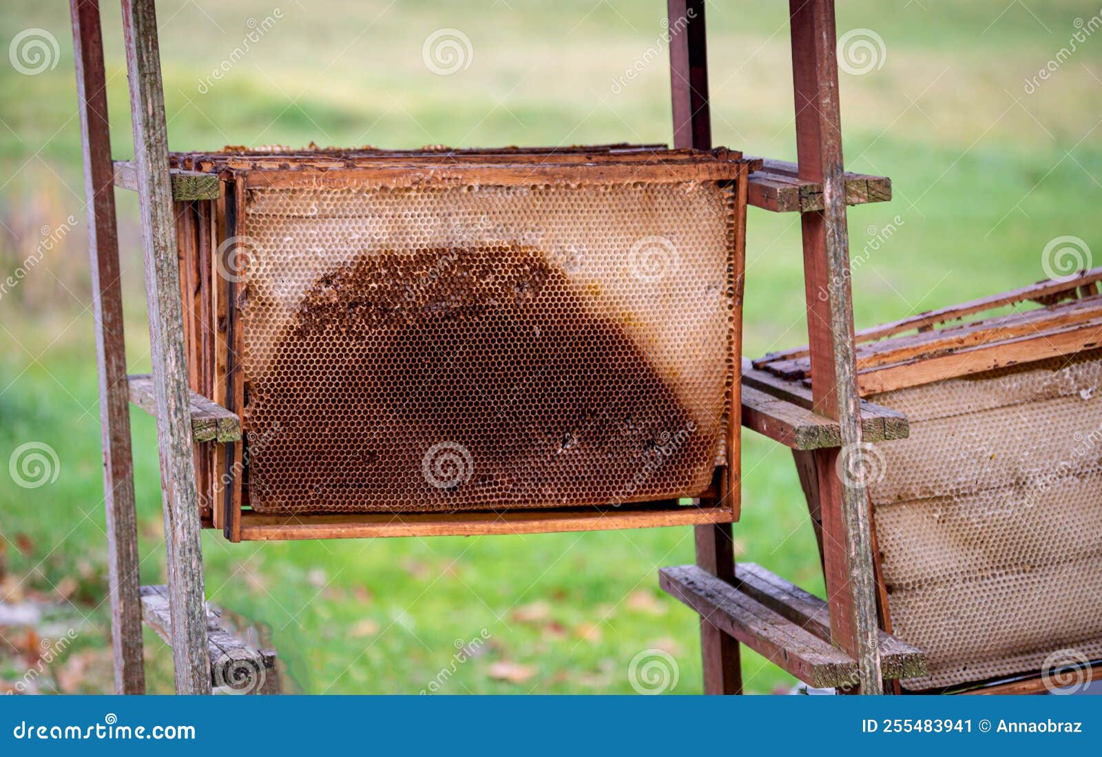 Old Wooden Frames for Bees are Exposed To Dry. Stock Image - Image of ...