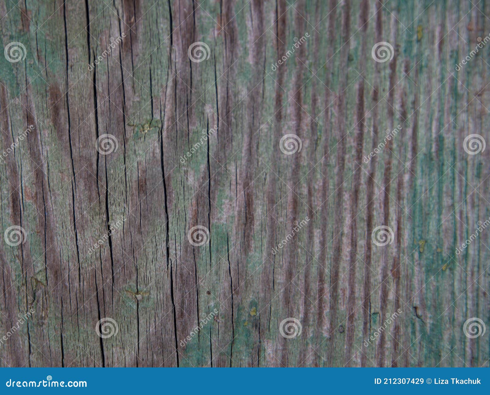 Old Wooden Green Texture Background Stock Image - Image of natural ...