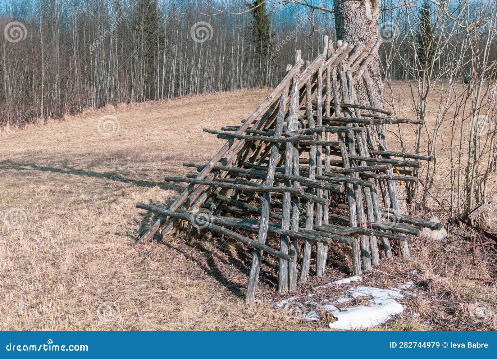 Old Wooden Hay Stack Constructions at the Tree in Countryside at Spring ...