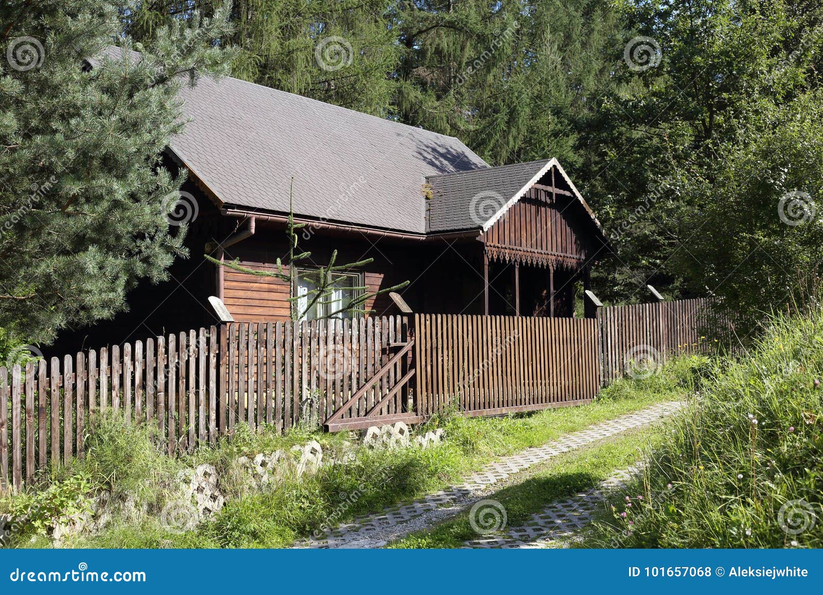 Old wooden house in forest stock photo. Image of cabin - 101657068