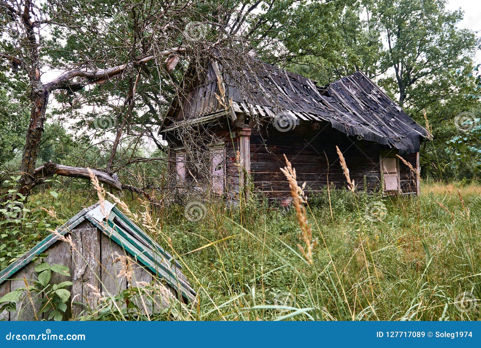 Old Wooden House in the Forest Stock Image - Image of plank, empty ...
